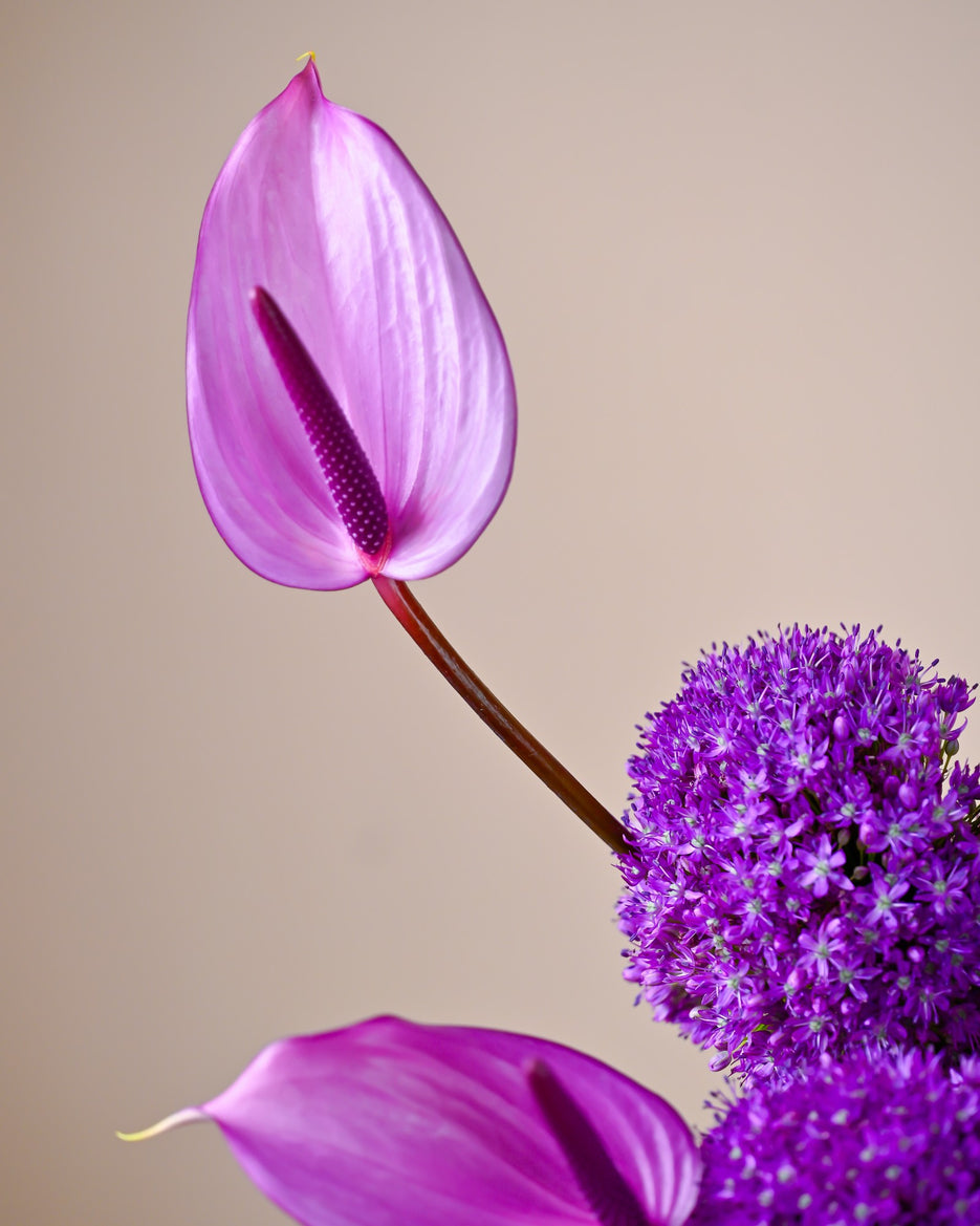 Graduation Collection – Flo Boutique