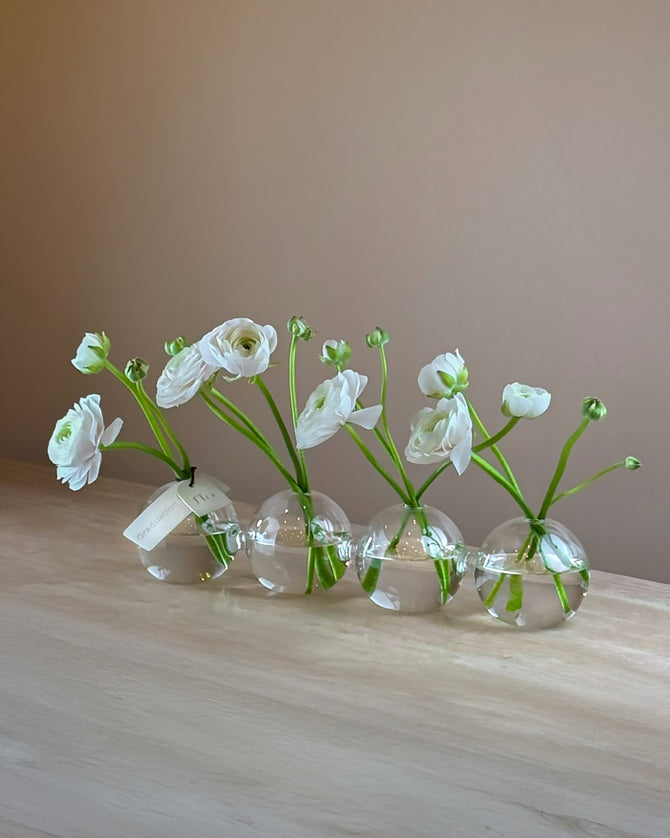 Graduation Collection – Flo Boutique